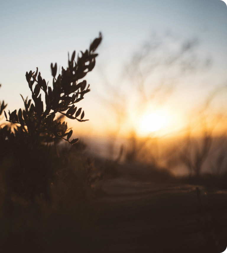 Sunrays Power | Solar Panel Installer | Best Solar Retailer